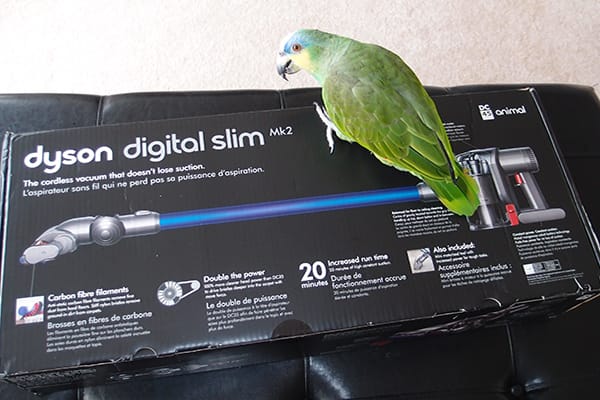 Our Office Animal: Dyson DC45 Vacuum Review - Modern Explorer